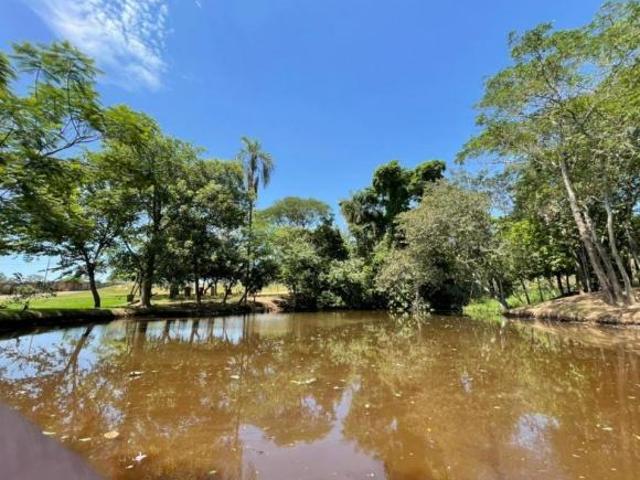 terreno à venda em Jardim Leonor