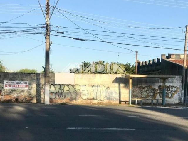 terreno à venda em Jardim Leonor