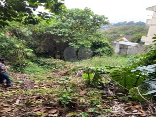 Terreno à venda em Jardim leonor SP