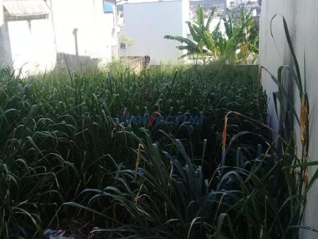 terreno à venda em Jardim Paraíso