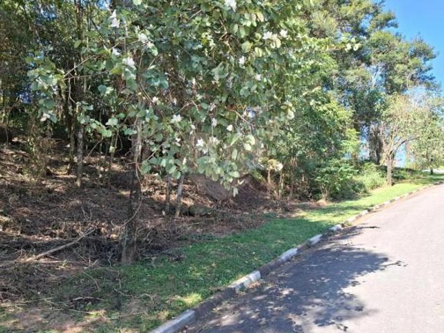 Terreno à venda em Jardim peri SP