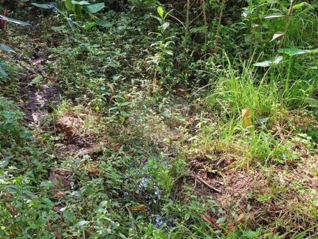 Terreno à venda em Jardim pinheiros SP