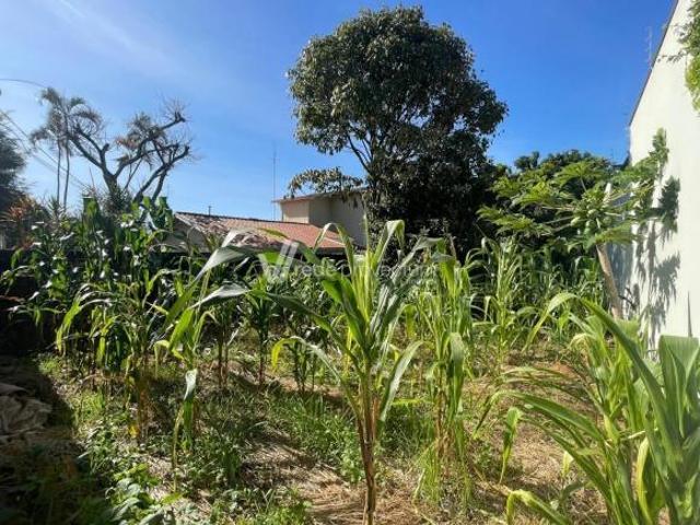 terreno à venda em Jardim Proença