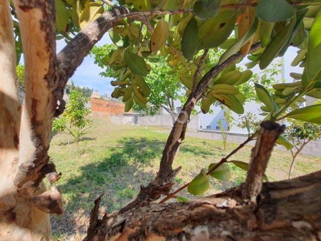 terreno à venda em Jardim Proença