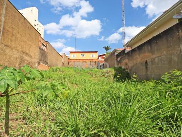 terreno à venda em Jardim Proença