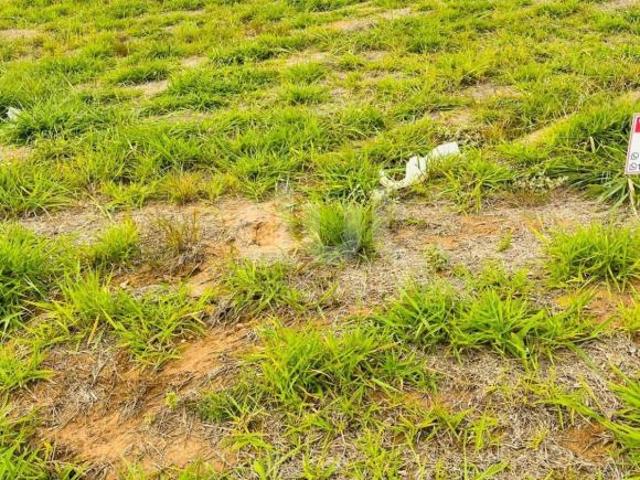 terreno à venda em Jardim Regente