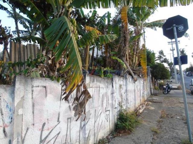 terreno à venda em Jardim São Pedro