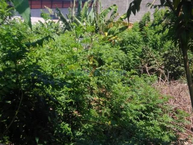 terreno à venda em Jardim Sao Bento