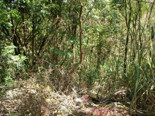 terreno à venda em Jardim Sorirama Sousas