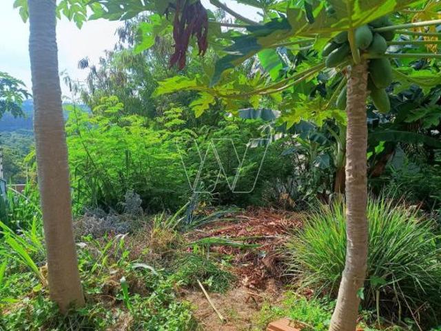 terreno à venda em Jardim Sorirama Sousas