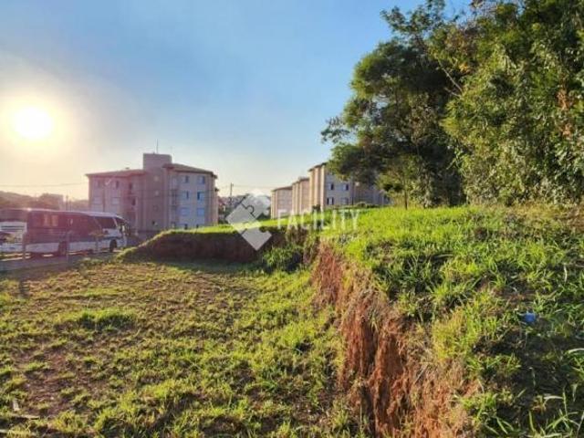 terreno à venda em Jardim Tamoio