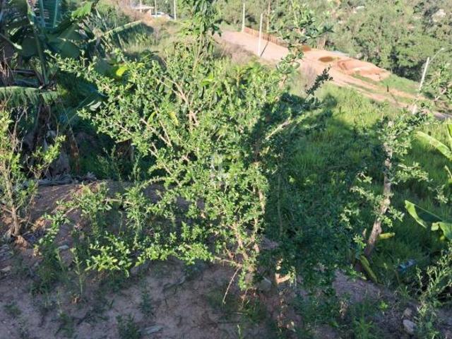 Terreno à venda em Jundiaí