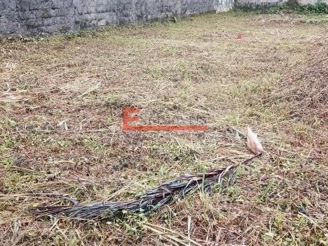 TERRENO A VENDA EM JUQUEHY