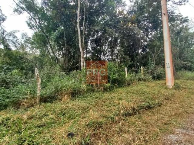 Terreno à venda em Juquitiba SP, bairro Palestina, com 2.147,00 m² de área Oportunidade única!