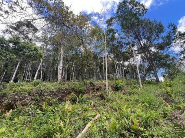 Terreno à venda em Juquitiba SP, com 2.500m² de área: a oportunidade dos seus sonhos!