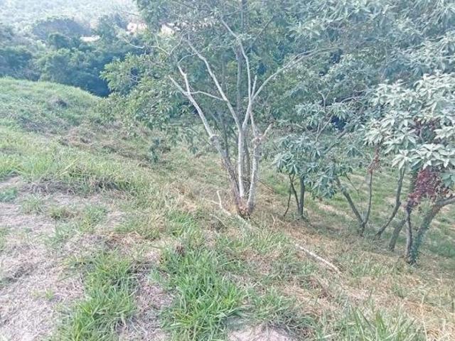 Terreno à venda em Observatório SP