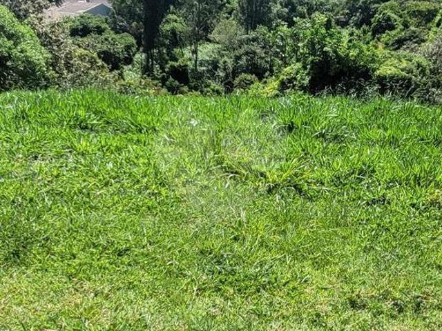 Terreno à venda em Observatório SP