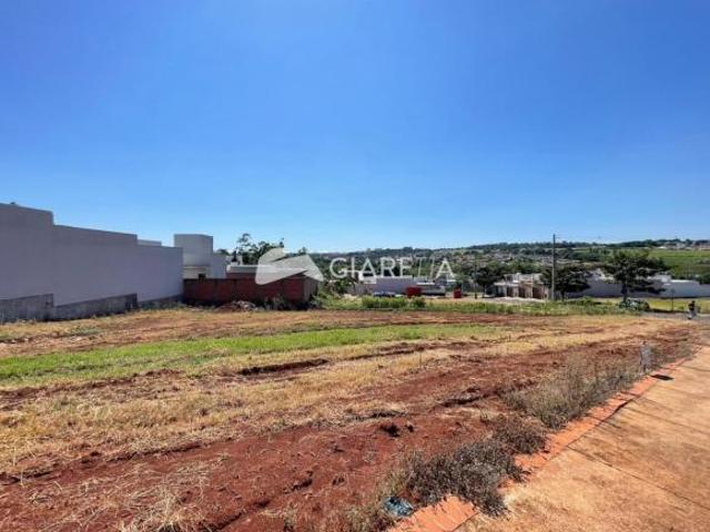 Terreno à venda em ótima localização no JARDIM PANCERA, TOLEDO PR