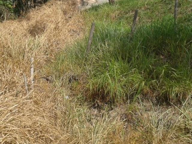 Terreno à venda em Ouro Preto