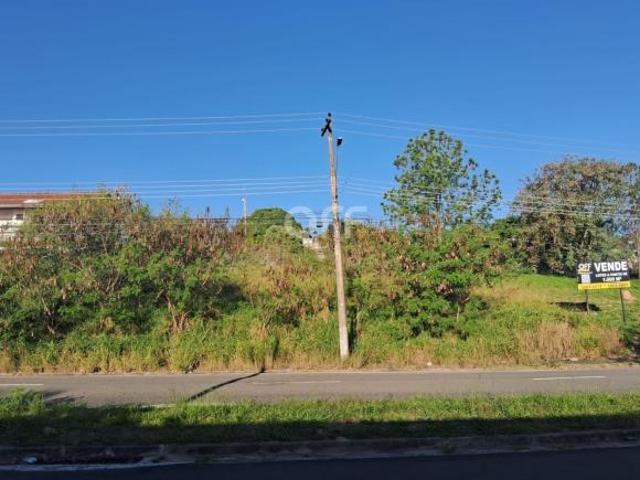 terreno à venda em Loteamento Alphaville Campinas