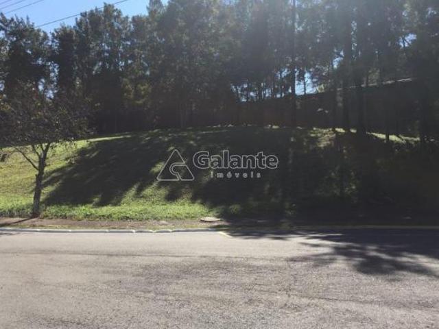 terreno à venda em Loteamento Alphaville Campinas