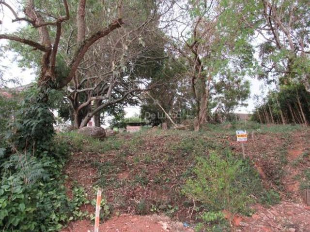 terreno à venda em Caminhos de San Conrado Sousas