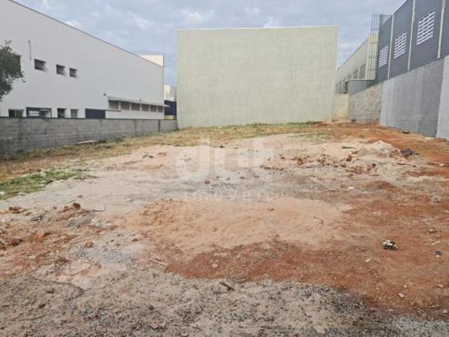terreno à venda em Loteamento Industrial Veccon Zeta