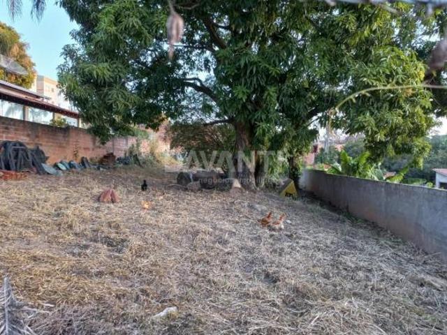 terreno à venda em Loteamento São Pedro