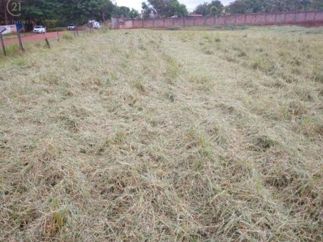 Terreno à venda em Londrina, Dom Pedro I, com 7258 m²