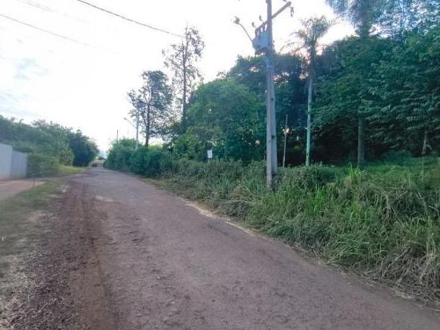 Terreno à venda em Londrina, Parque Presidente Vargas, com 6000 m²