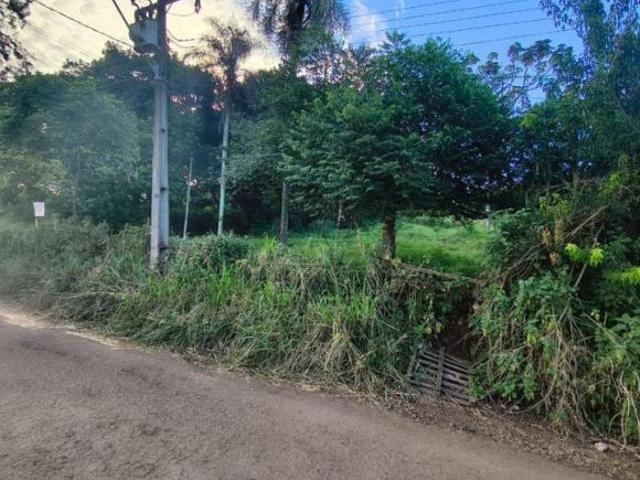 Terreno à venda em Londrina, Parque Presidente Vargas, com 3000 m²