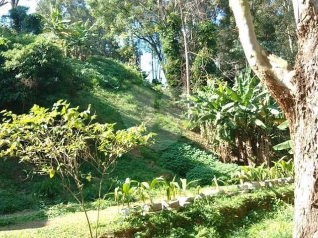 Terreno à venda em Lauzane paulista SP