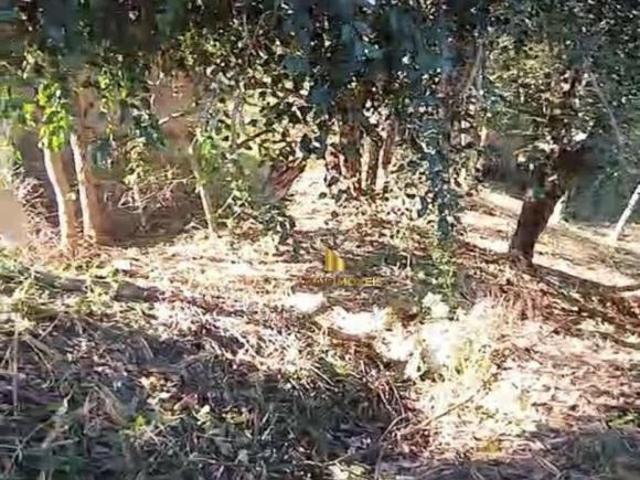 Terreno à venda em Lagoa Santa/MG