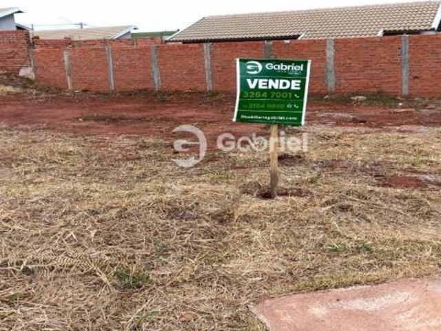 Terreno a venda em Lençóis Paulista/SP Jardim Yvone