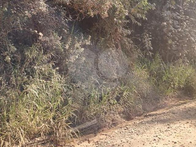 Terreno à venda em Luiz fagundes SP