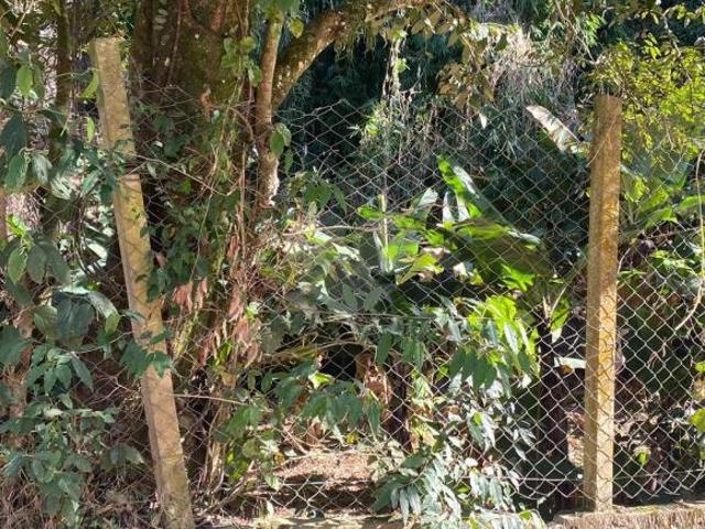 Terreno à venda em Luiz fagundes SP