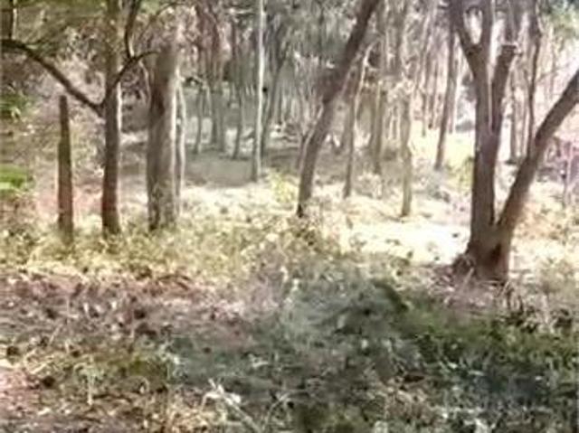 Terreno à venda em Luiz fagundes SP
