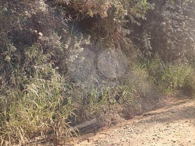 Terreno à venda em Luiz fagundes SP