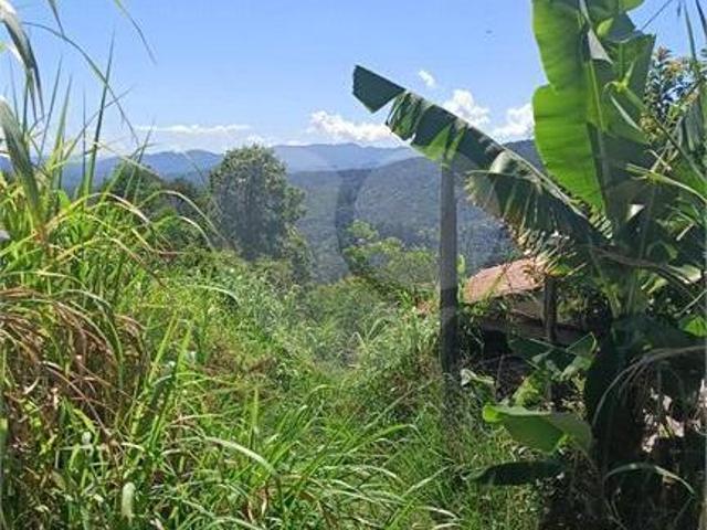 Terreno à venda em Luiz fagundes SP
