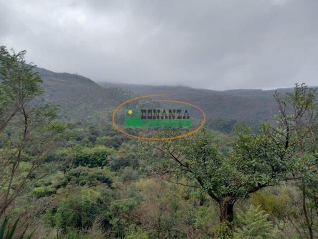 Terreno à venda em Moeda