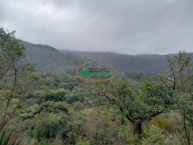Terreno à venda em Moeda