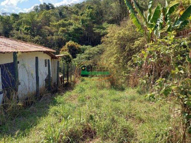 Terreno à venda em Moeda