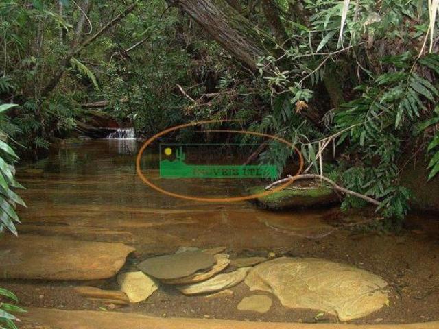 Terreno à venda em Moeda