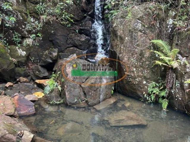 Terreno à venda em Moeda