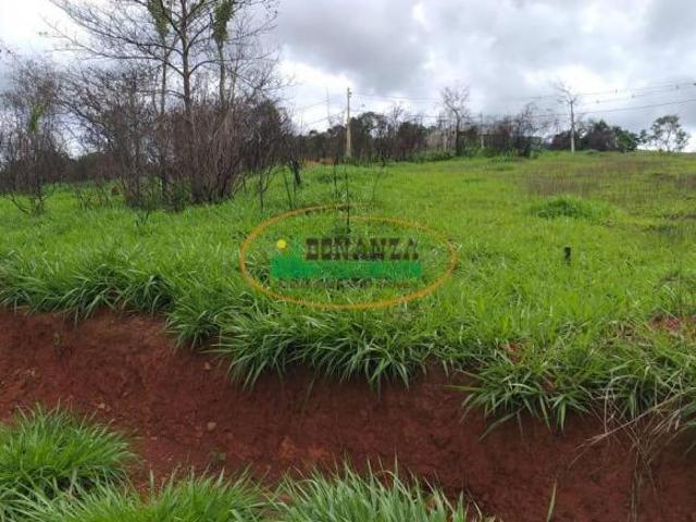 Terreno à venda em Moeda
