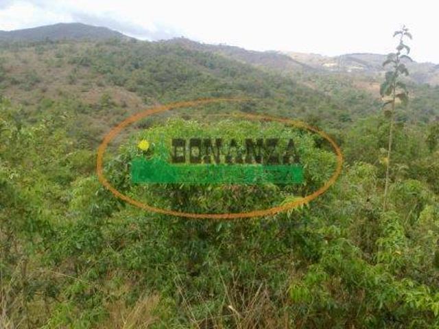 Terreno à venda em Moeda