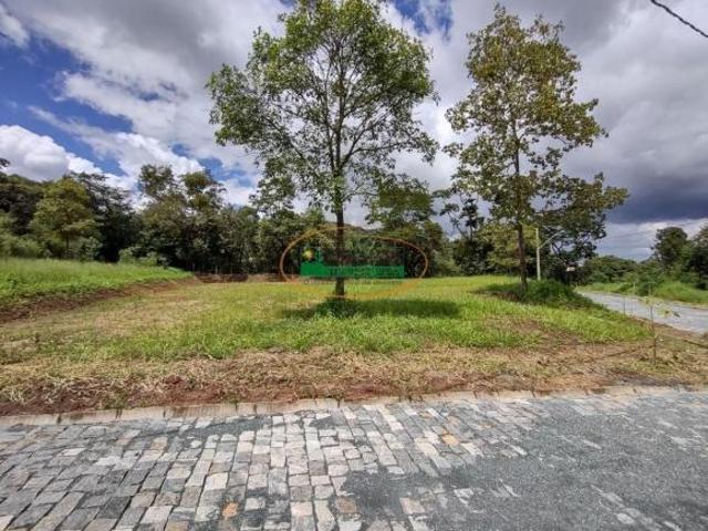Terreno à venda em Moeda
