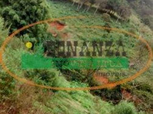Terreno à venda em Moeda