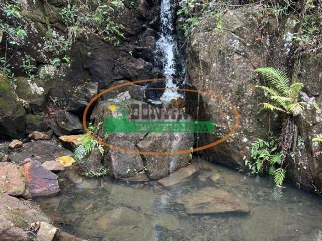 Terreno à venda em Moeda