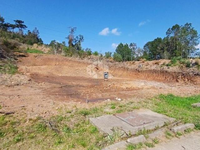 Terreno a Venda em Monte Bérico, em Caxias do Sul